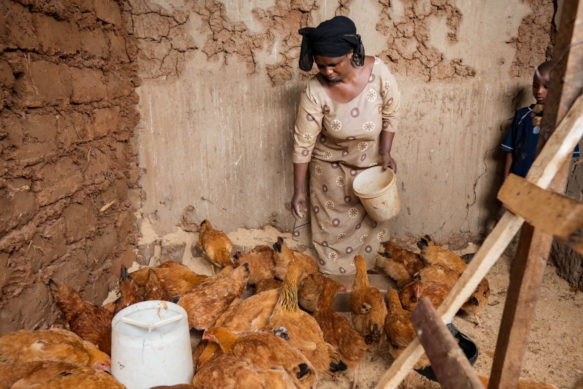 Kenya Gallery - Uzima Chicken